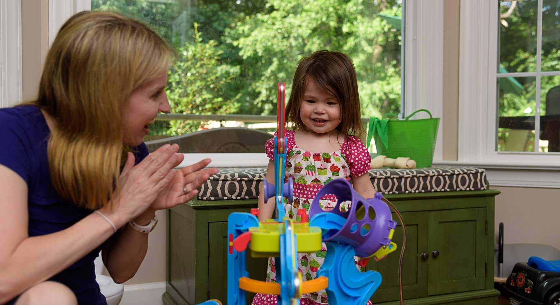 Developmental Services - Cheshire Center